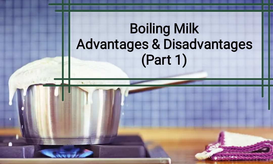 Boiling Milk - Dairy Mastermind