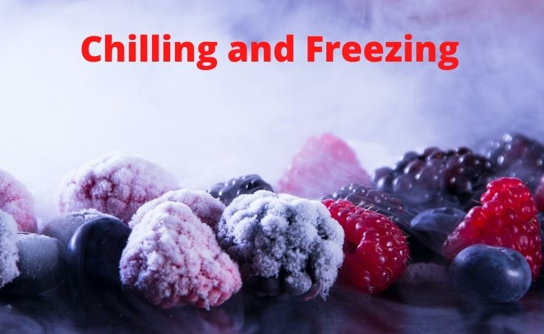 Freezing and Chilling - Dairy Mastermind